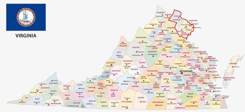 Recommended Native Trees for Northern Virginia