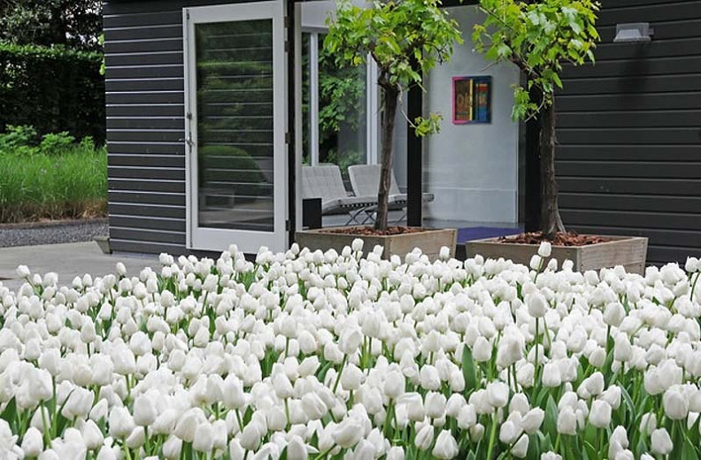 A Contemporary White Spring Garden