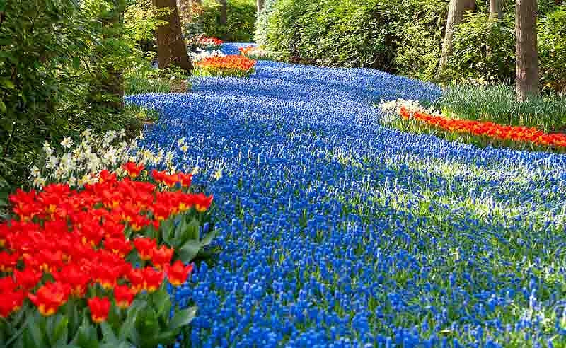 Why Spring is Really Three Seasons