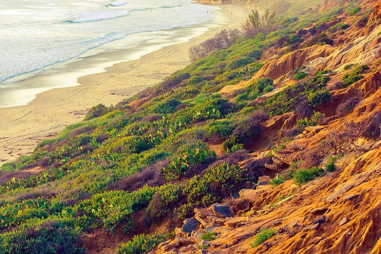 Recommended Native Groundcovers for the Central California Foothills ...
