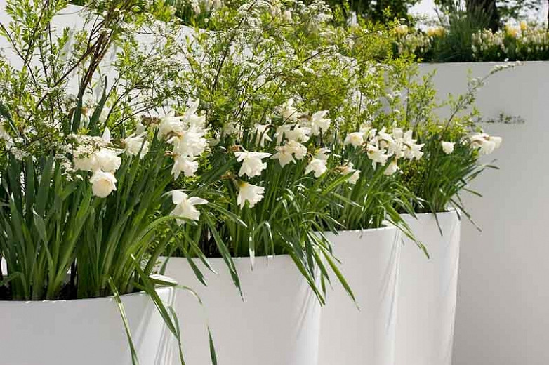 A Traditional White Spring Garden