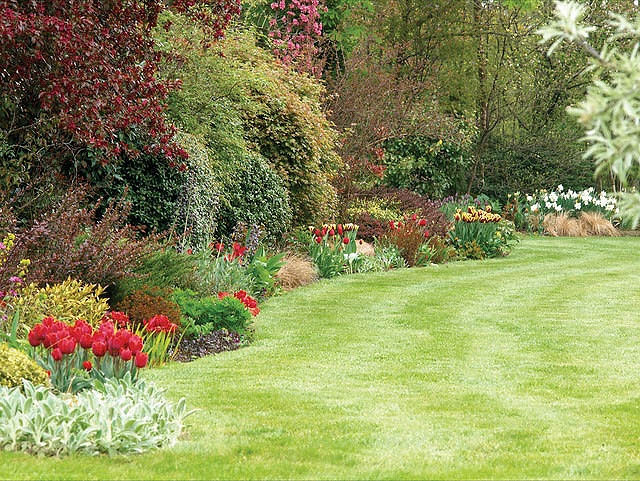 A Lovely Border Idea for the Mid-Late Spring Garden