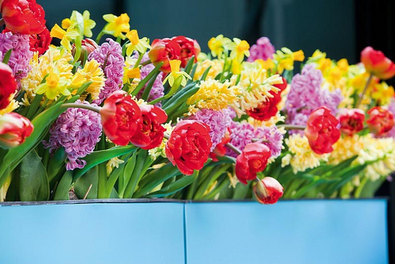 A Fabulous Spring Container Idea