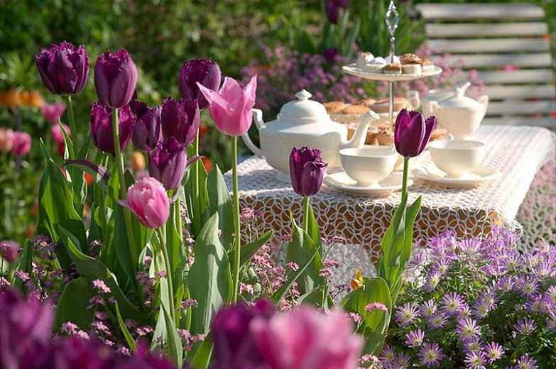 A Simple and Lovely Border Idea for your Mid-Late Spring garden