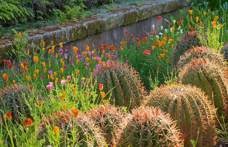 A Long-Lasting Mediterranean Border Idea