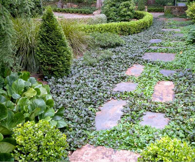 Softening Path Edges With Ajuga reptans - Arthur Lathouris