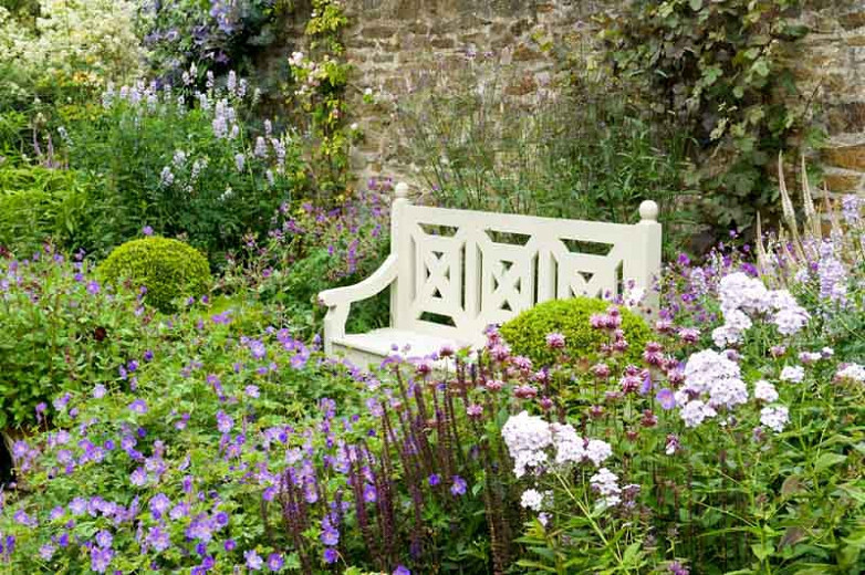 Great Hardy Geraniums For Your Beds And Borders, 57% OFF