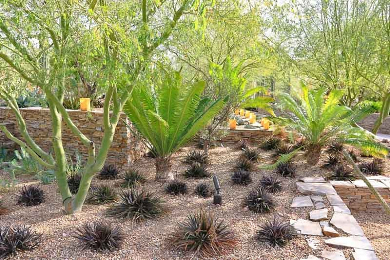 A Great Looking and Low-Care Mediterranean Border