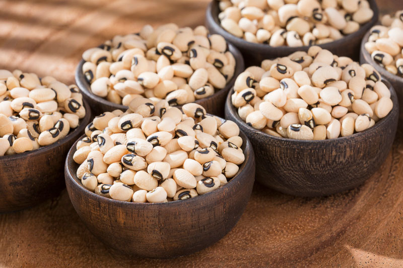 Black-Eyed Peas (Vigna unguiculata subsp. unguiculata)