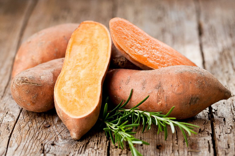 Ipomoea batatas (Sweet Potato)