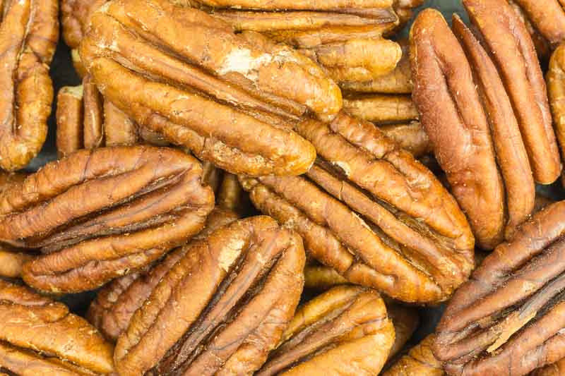 Carya illinoinensis (Hardy Pecan)