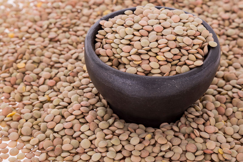 Lentils (Lens culinaris)