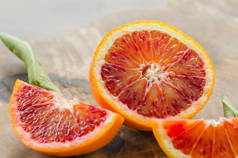 Citrus sinensis 'Moro' (Blood Orange)