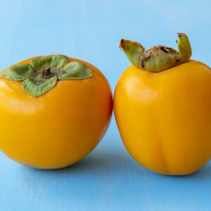 Diospyros kaki 'Hachiya' (Persimmon): Benefits, Uses, Care