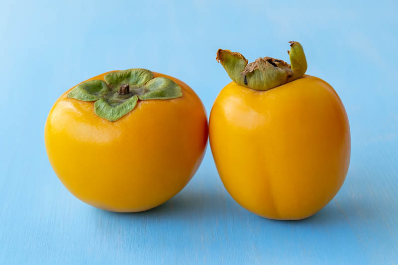Diospyros kaki 'Saijo' (Persimmon): Benefits, Uses, Care
