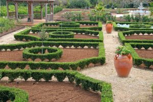 Formal Garden - The Best Plants to Grow in your Garden