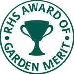 Top Hardy US Native Hibiscus Plants for Your Garden