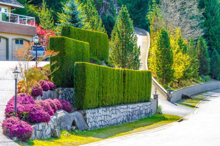 Perfect Garden Planting Places
