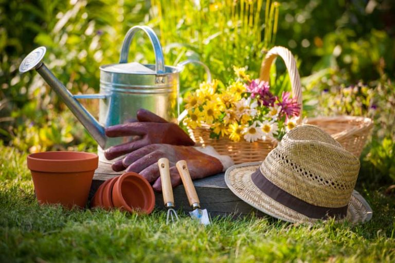 Gardening Tips - Be a Better Gardener