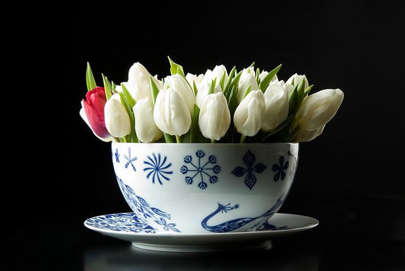 Single Early Tulips: The Perfect Start to a Spring Garden