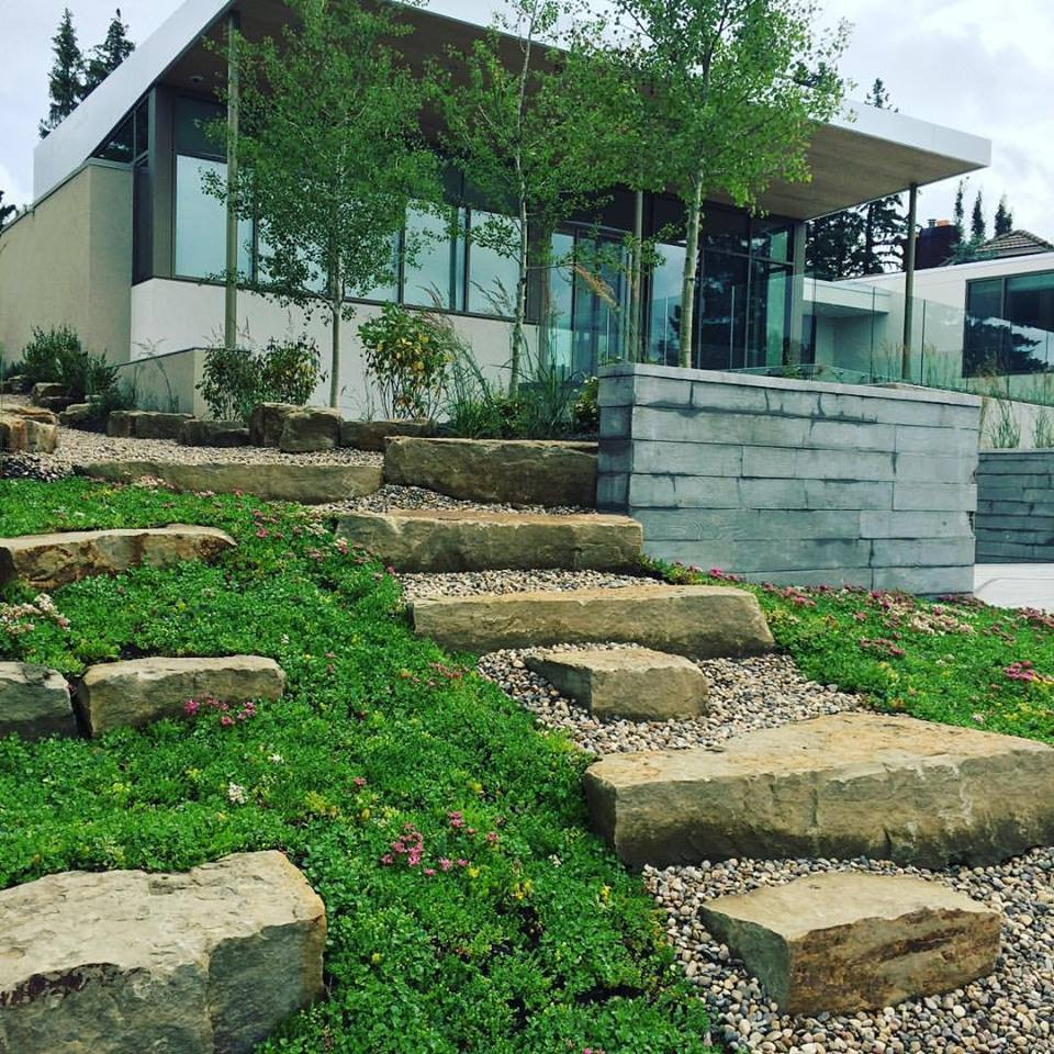 Aris Landscape Design