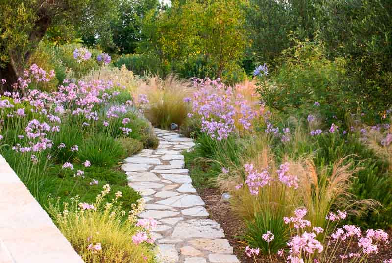 A Charming Mediterranean Stone Path