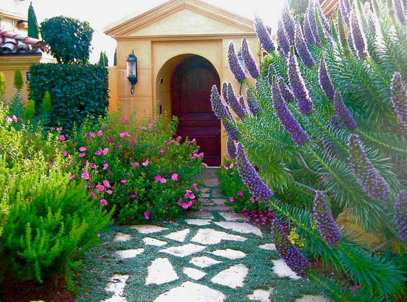A Colorful Mediterranean Stone Path