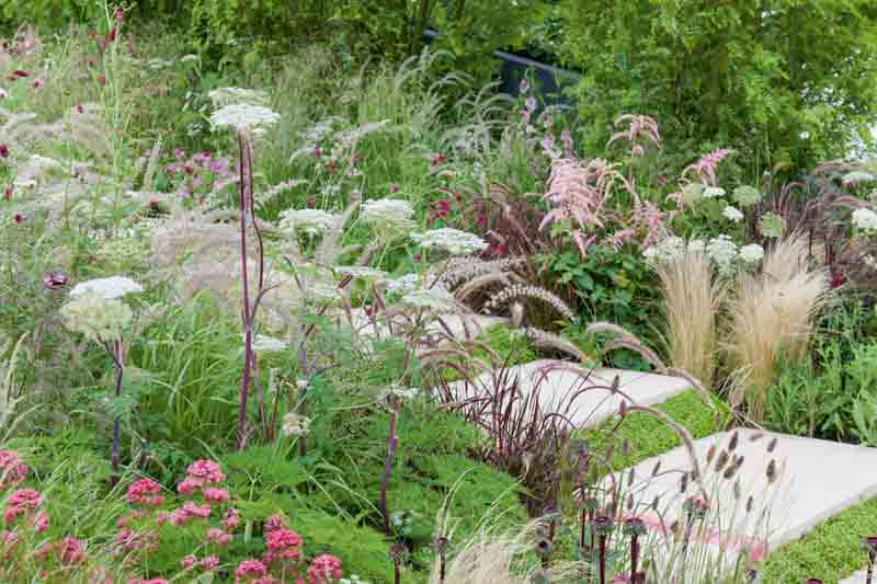 A Pretty Pathway with Grasses and Charming Perennials