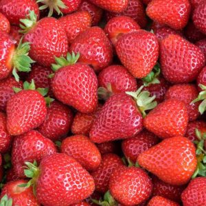 Strawberry Plant Types: A Guide to Picking the Perfect One