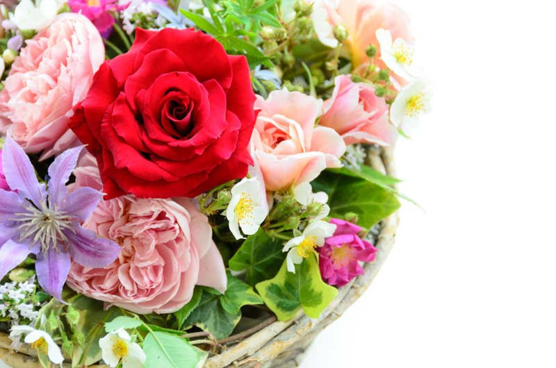 Pretty Roses and Clematis Combination Ideas (Part 1)