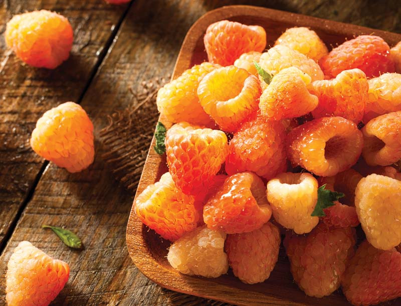 Rubus idaeus 'Fallgold' (Everbearing Raspberry)