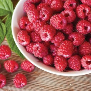 Raspberries: Benefits, Uses, Varieties, Growing Tips