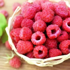 Raspberries: Benefits, Uses, Varieties, Growing Tips