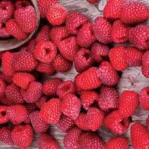 Raspberries: Benefits, Uses, Varieties, Growing Tips