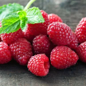 Raspberries: Benefits, Uses, Varieties, Growing Tips