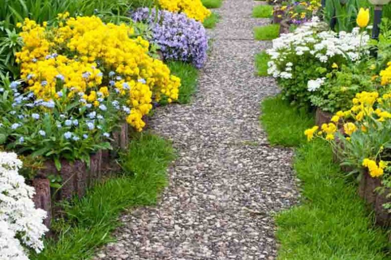 A Colorful Garden Path