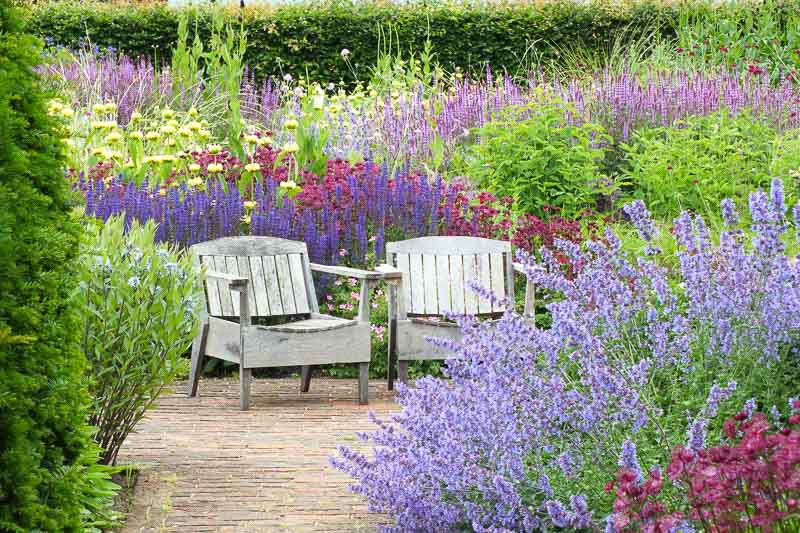 A Fabulous Perennial Planting Idea