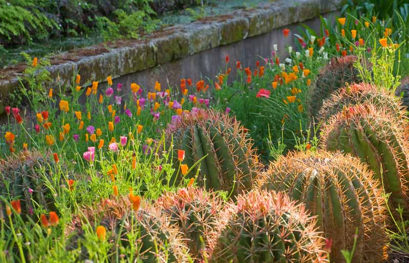 Mediterranean Border Design 15,800+ Mediterranean Frames Stock