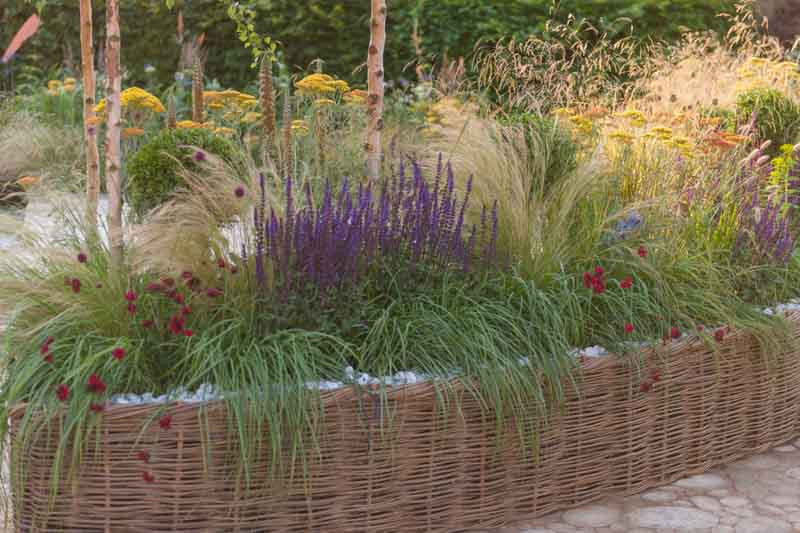 A Lovely Raised Bed Idea with Grasses, Blood Pinks and Sage