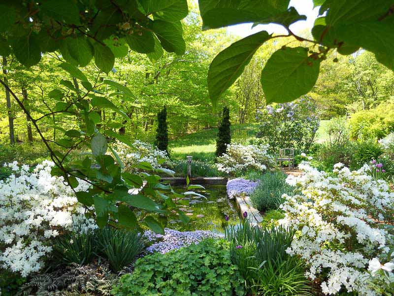 A Romantic Pond - Andrew Grossman