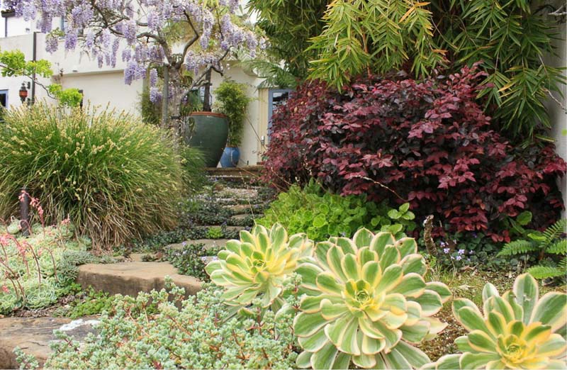 Welcoming Front Yard Walkway Boost Curb Appeal Fast: One Day Front