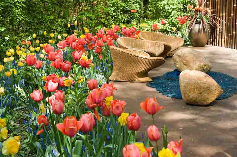 Best Spring Bulbs for the South Coastal Atlantic Region