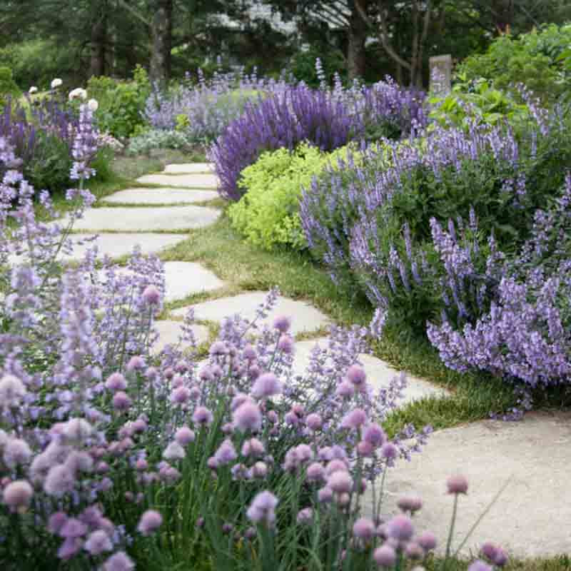 Matthew Cunningham Landscape Design