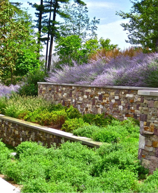 Retaining Wall Plant Ideas Perennials 20 Retaining Wall Ideas For A