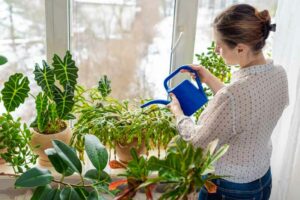 Easter Cactus: Care and Bloom Tips for This Springtime Beauty