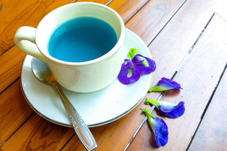 Clitoria ternatea (Butterfly Pea)