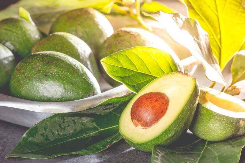 Avocado Images