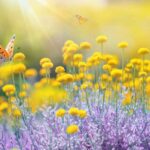 57 Red Flowers: A Bold Statement for Your Garden and Bouquets