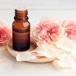 Rosa 'Albertine' (Rambling Rose)