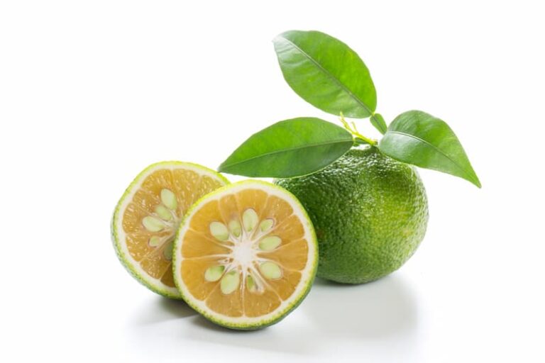 Sudachi: Health Benefits, Uses, Growing Tips